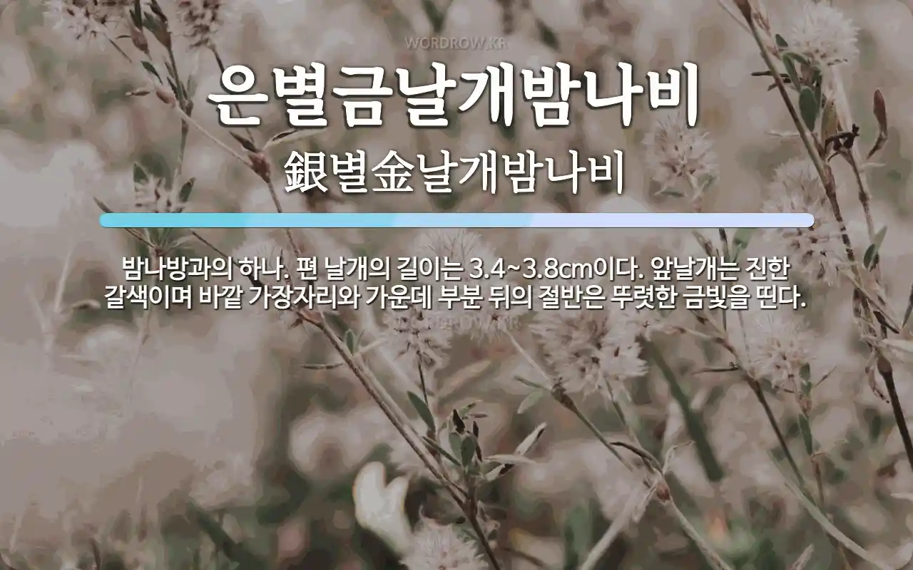 은별금날개밤나비 뜻 밤나방과의 하나 편 날개의 길이는 34~38cm이다 앞날개는 진한 갈색이며 바깥 가