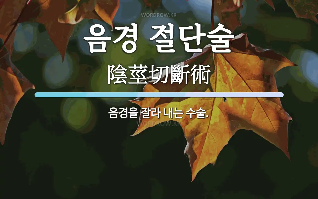 음경 절단술 뜻 음경을 잘라 내는 수술