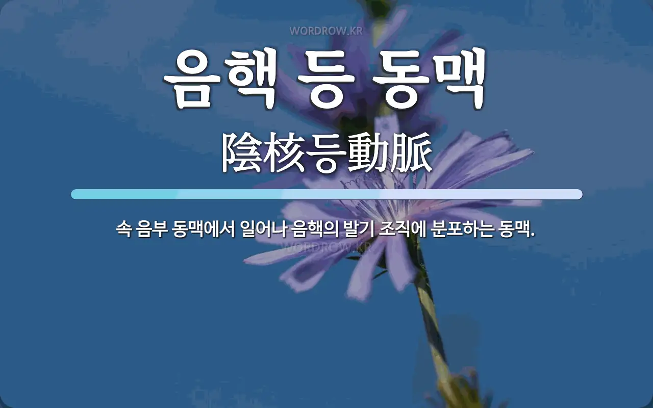 음핵 등 동맥 뜻 속 음부 동맥에서 일어나 음핵의 발기 조직에 분포하는 동맥