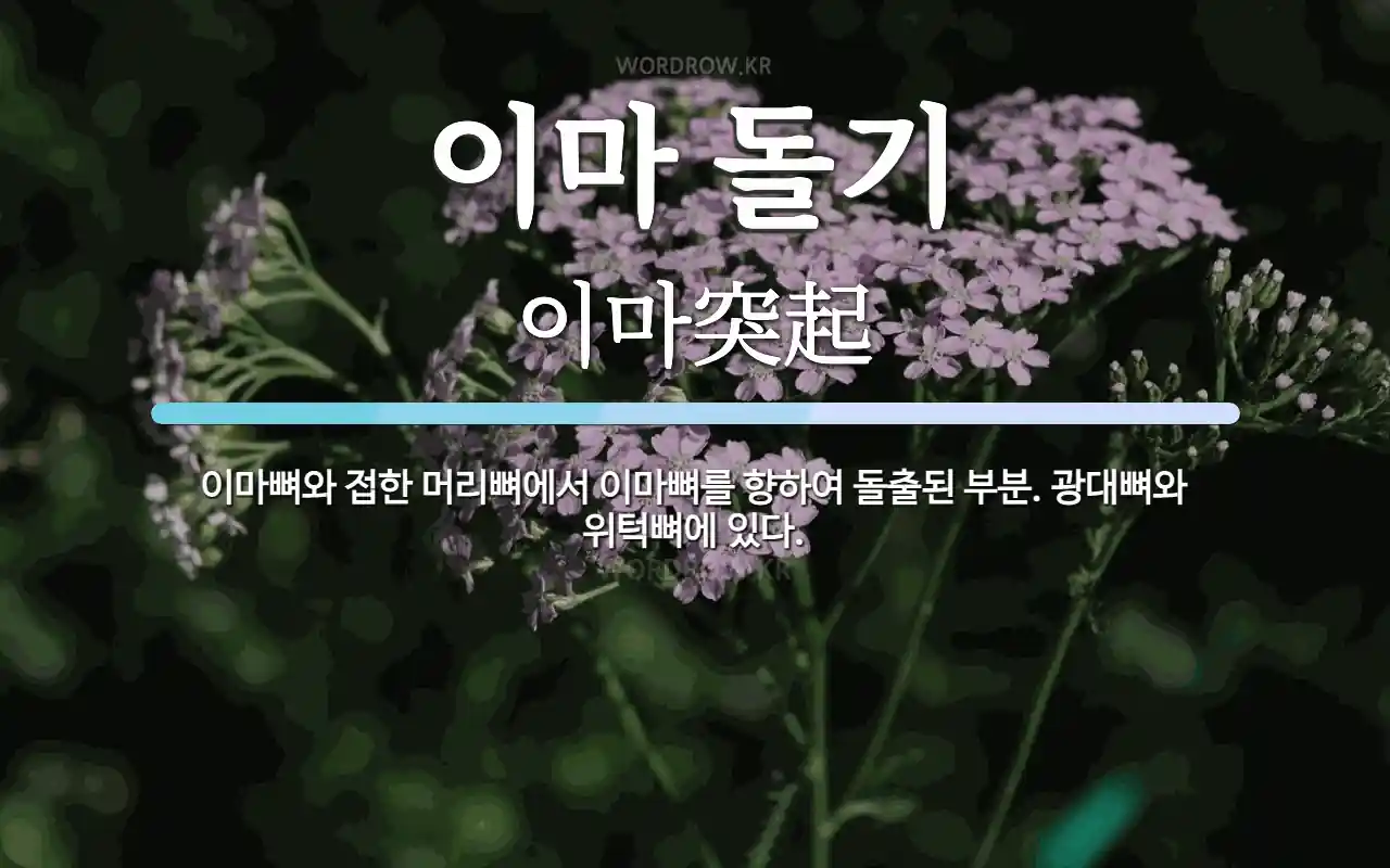 이마 돌기 뜻 이마뼈와 접한 머리뼈에서 이마뼈를 향하여 돌출된 부분 광대뼈와 위턱뼈에 있다