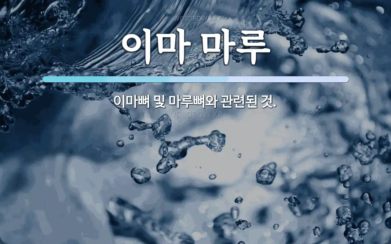 이마 마루 뜻 이마뼈 및 마루뼈와 관련된 것