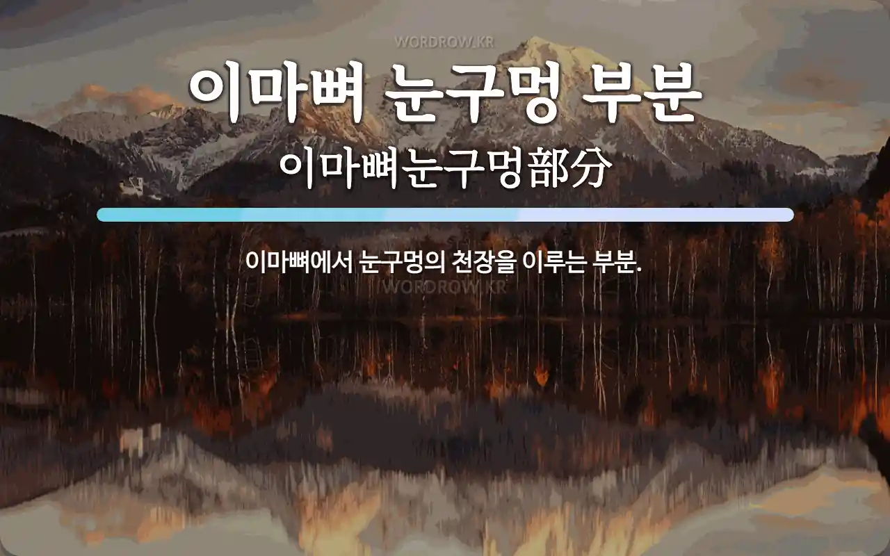 이마뼈 눈구멍 부분 뜻 이마뼈에서 눈구멍의 천장을 이루는 부분