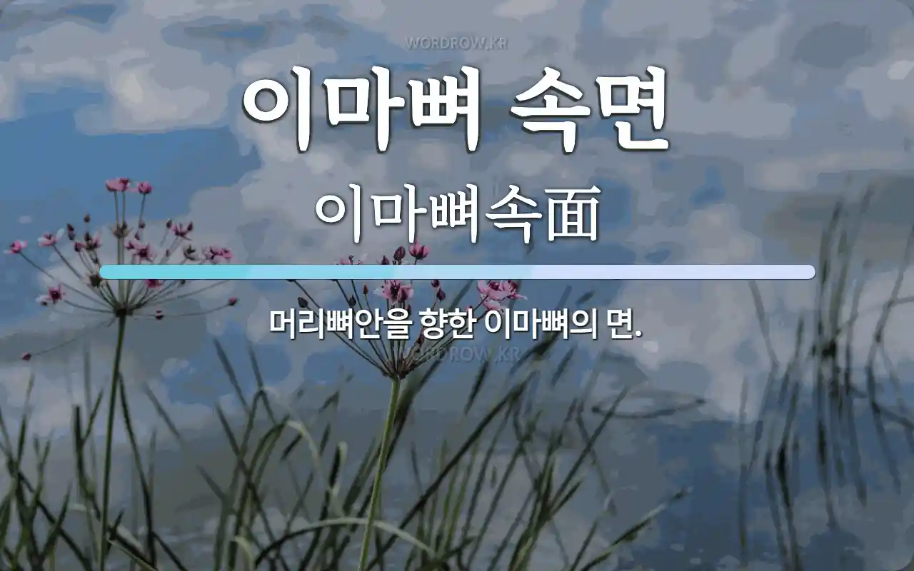 이마뼈 속면 뜻 머리뼈안을 향한 이마뼈의 면