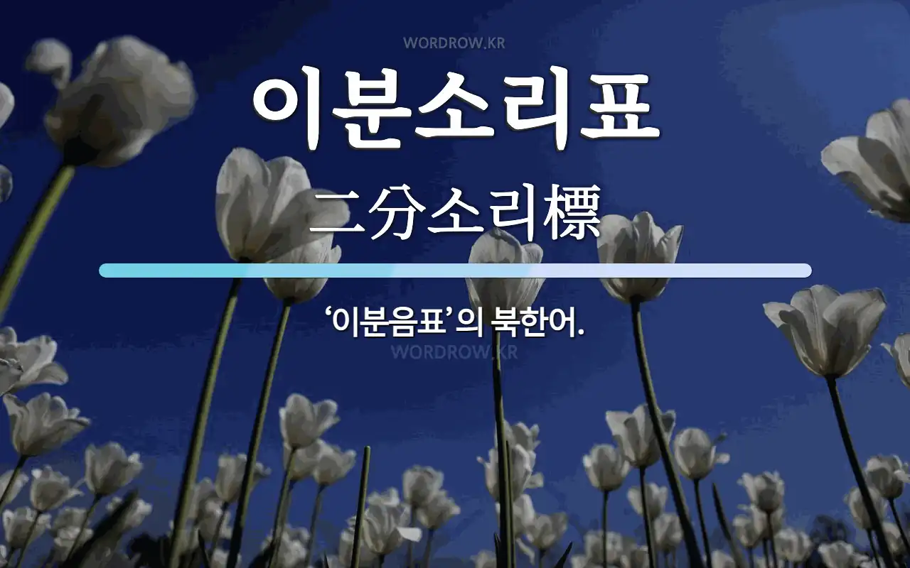 이분소리표 뜻 ‘이분음표의 북한어