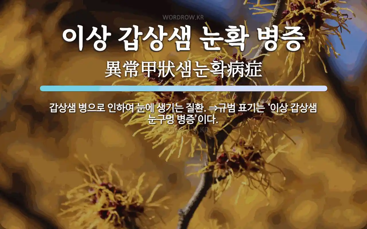 이상 갑상샘 눈확 병증 뜻 갑상샘 병으로 인하여 눈에 생기는 질환 ⇒규범 표기는 ‘이상 갑상샘 눈구멍 병증이다