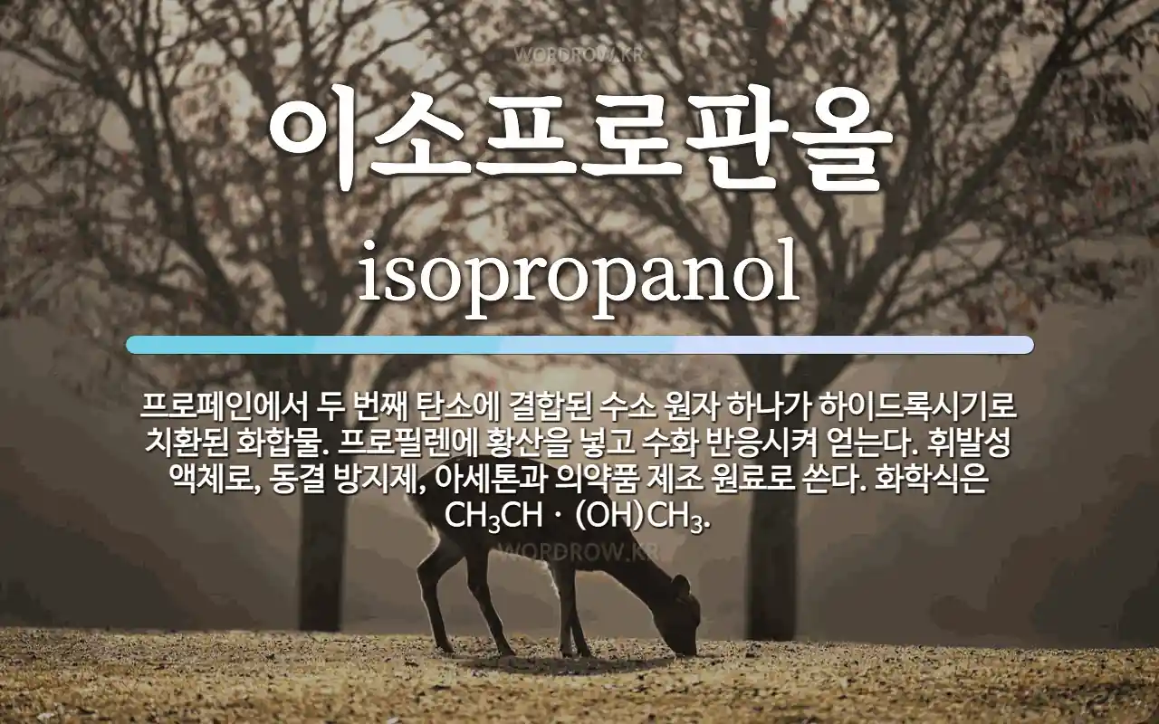 이소프로판올 뜻 프로페인에서 두 번째 탄소에 결합된 수소 원자 하나가 하이드록시기로 치환된 화합물 프로필