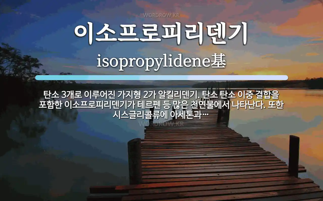 이소프로피리덴기 뜻 탄소 3개로 이루어진 가지형 2가 알킬리덴기 탄소 탄소 이중 결합을 포함한 이소프로피리덴