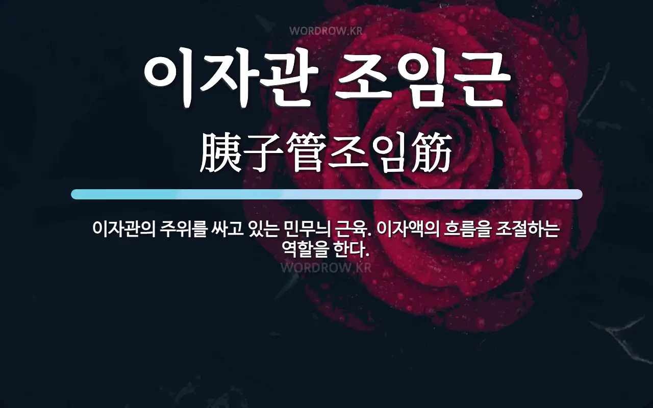 이자관 조임근 뜻 이자관의 주위를 싸고 있는 민무늬 근육 이자액의 흐름을 조절하는 역할을 한다