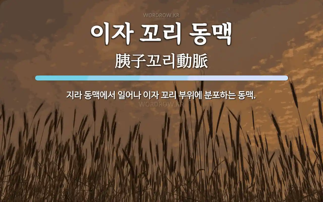 이자 꼬리 동맥 뜻 지라 동맥에서 일어나 이자 꼬리 부위에 분포하는 동맥