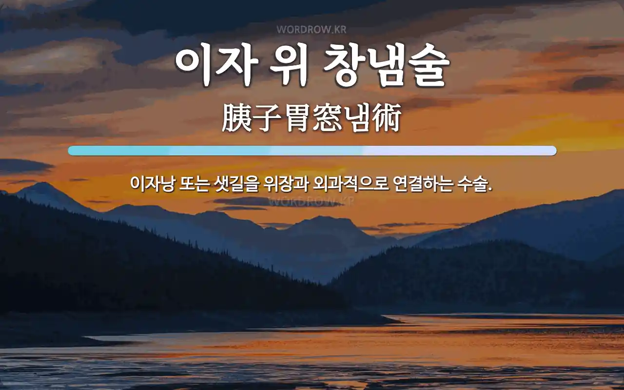 이자 위 창냄술 뜻 이자낭 또는 샛길을 위장과 외과적으로 연결하는 수술