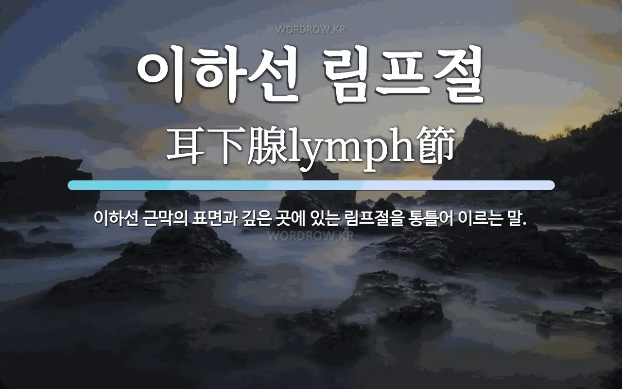 이하선 림프절 뜻 이하선 근막의 표면과 깊은 곳에 있는 림프절을 통틀어 이르는 말