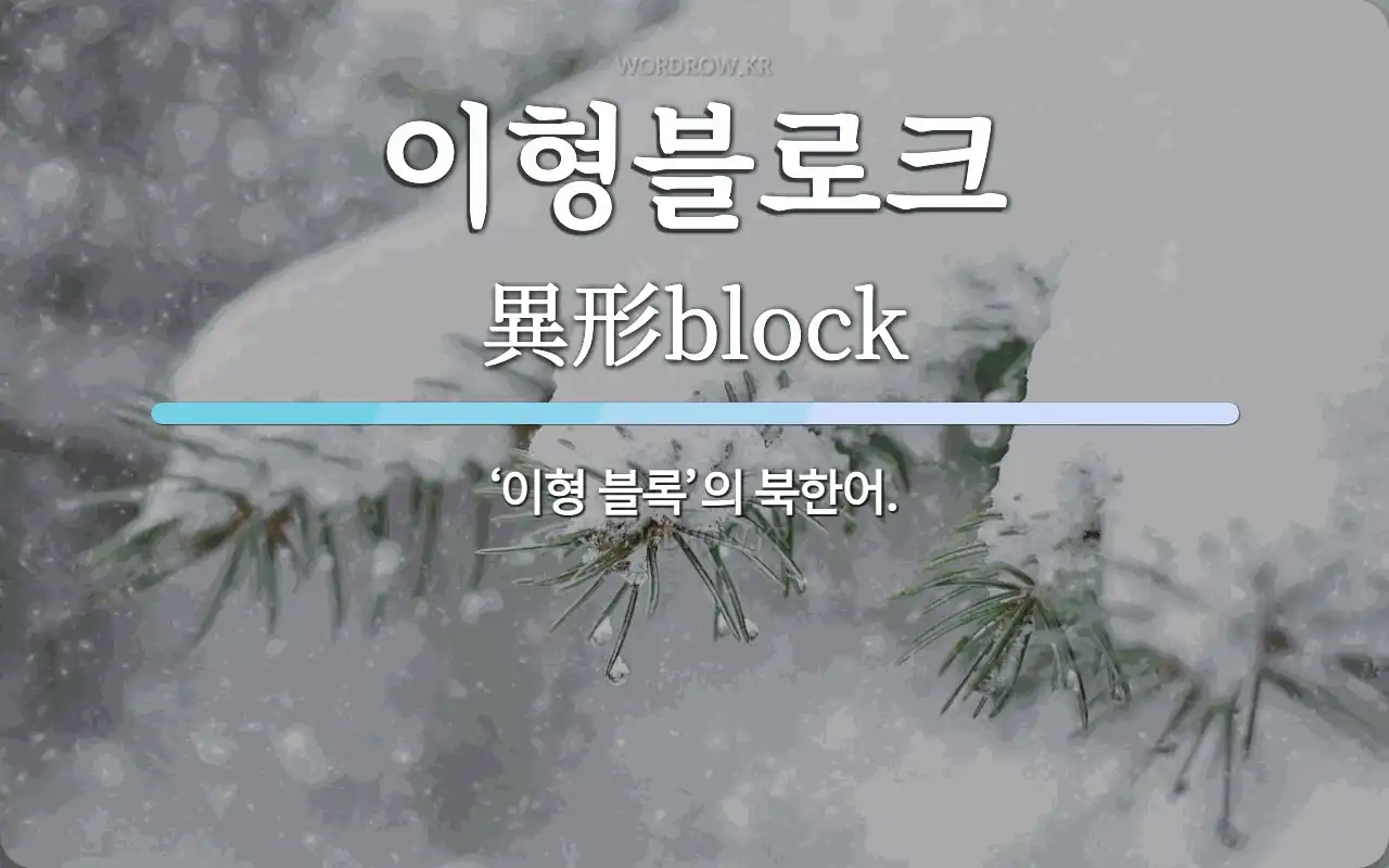 이형블로크 뜻 ‘이형 블록의 북한어