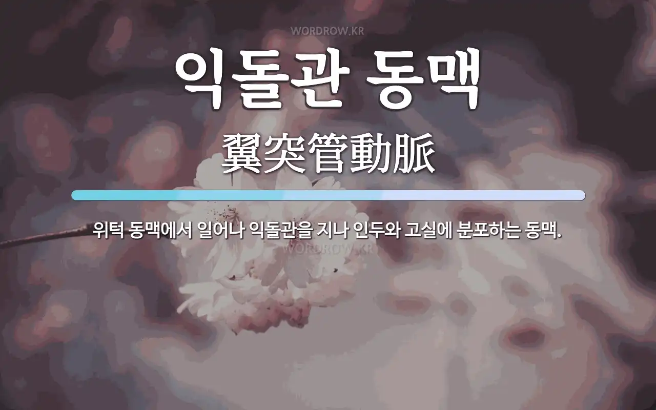 익돌관 동맥 뜻 위턱 동맥에서 일어나 익돌관을 지나 인두와 고실에 분포하는 동맥