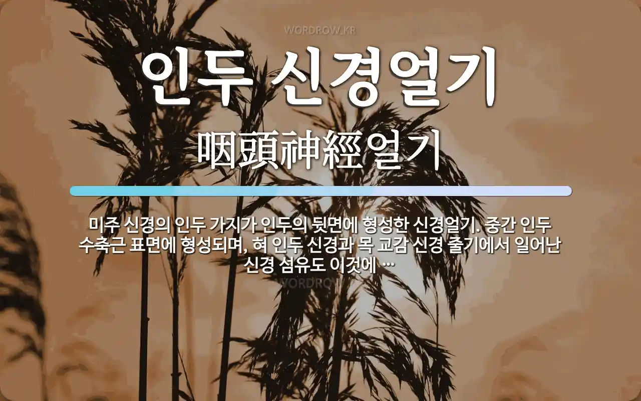 인두 신경얼기 뜻 미주 신경의 인두 가지가 인두의 뒷면에 형성한 신경얼기 중간 인두 수축근 표면에 형성되며