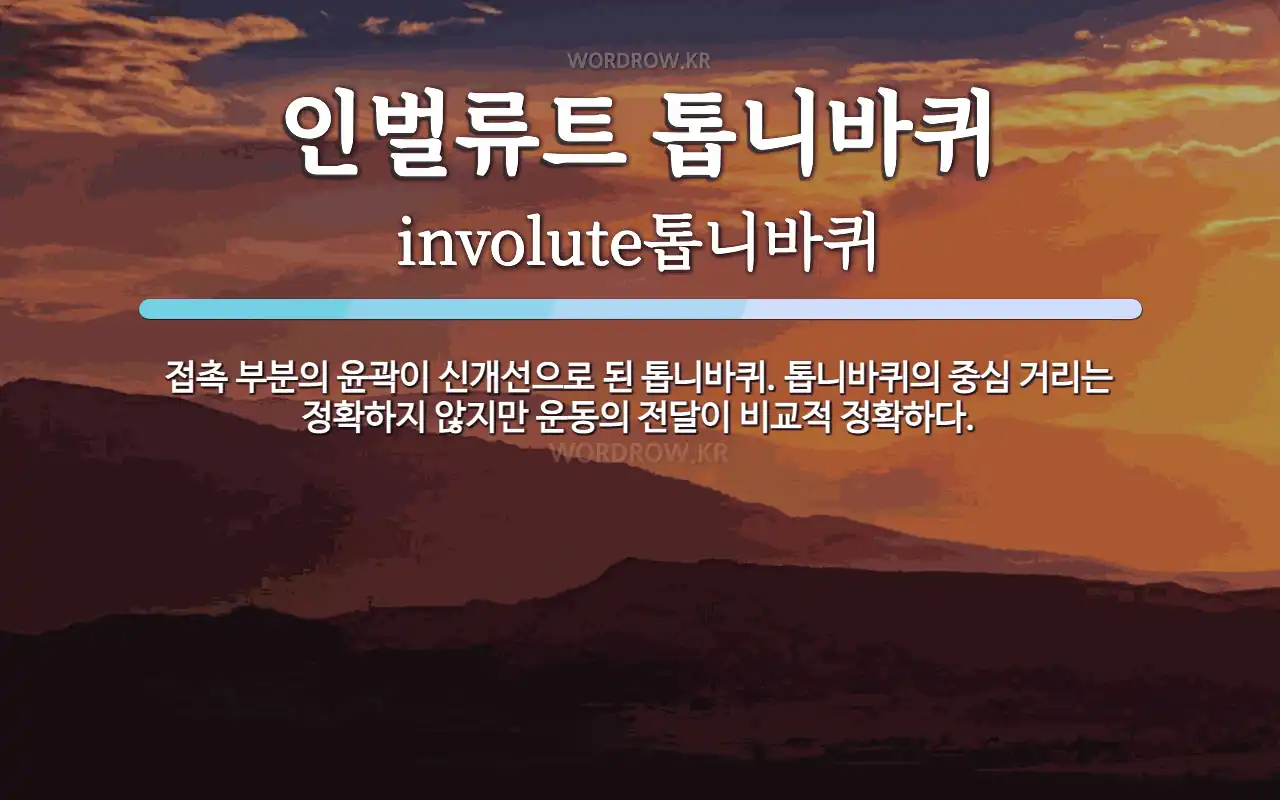 인벌류트 톱니바퀴 뜻 접촉 부분의 윤곽이 신개선으로 된 톱니바퀴 톱니바퀴의 중심 거리는 정확하지 않지만 운동의