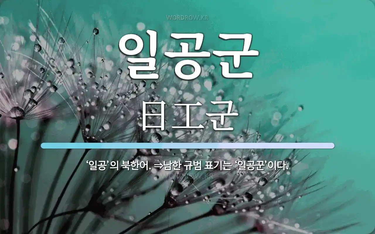 일공군 뜻 ‘일공의 북한어 ⇒남한 규범 표기는 ‘일공꾼이다