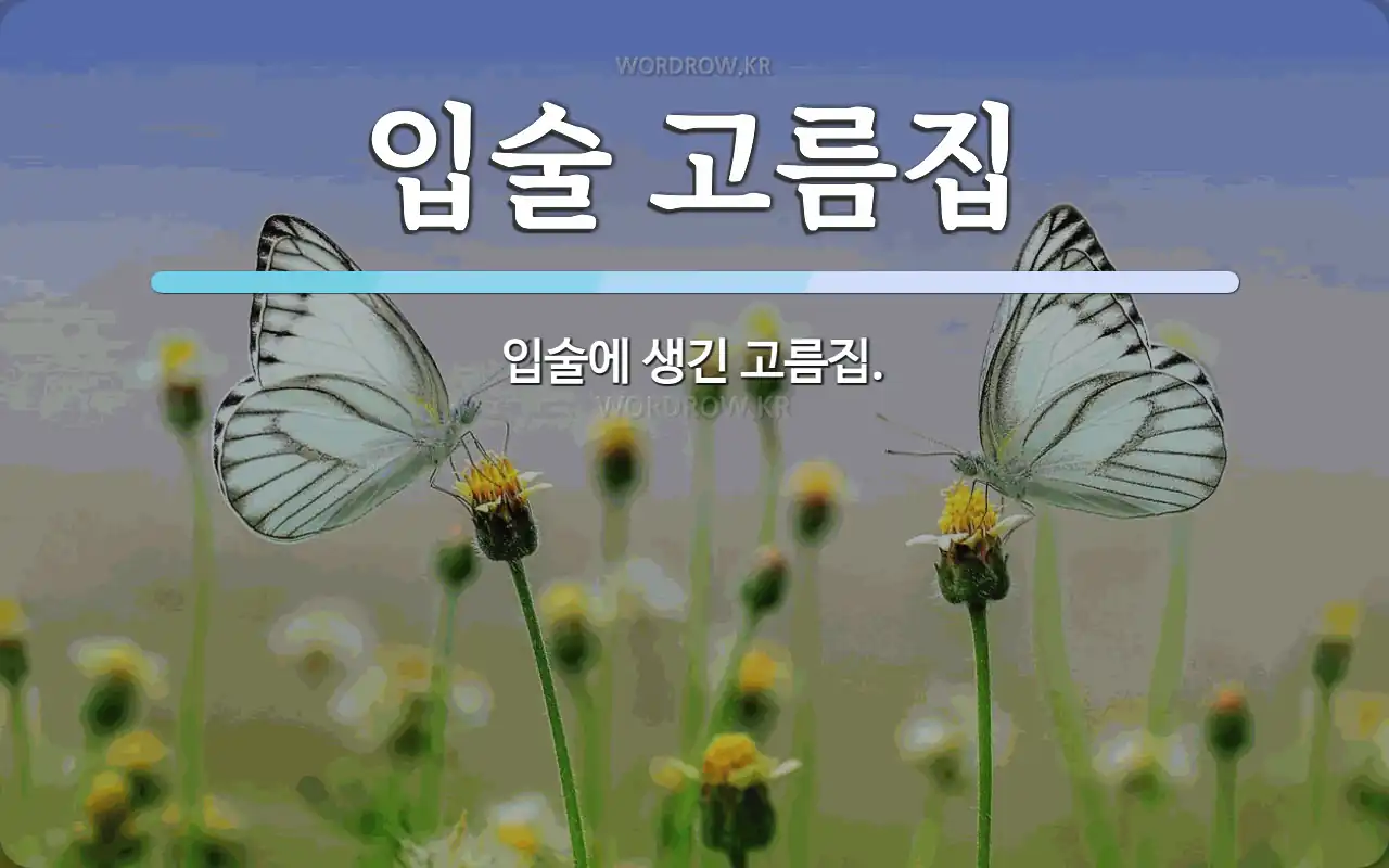 입술 고름집 뜻 입술에 생긴 고름집
