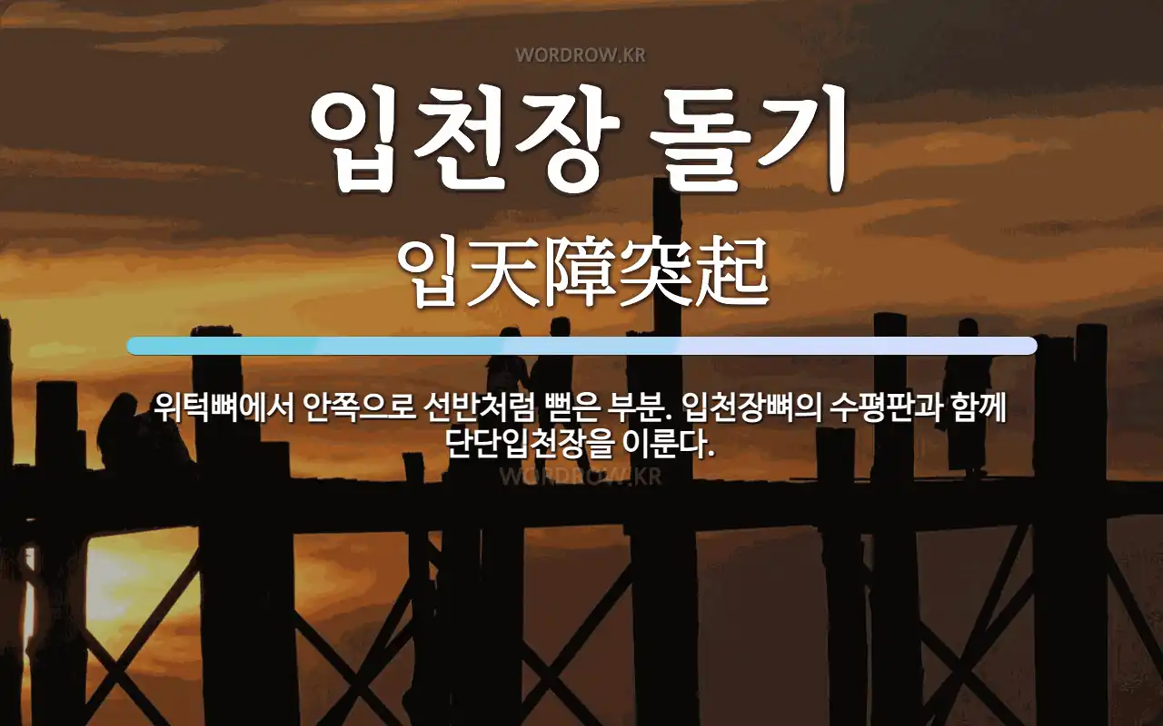 입천장 돌기 뜻 위턱뼈에서 안쪽으로 선반처럼 뻗은 부분 입천장뼈의 수평판과 함께 단단입천장을 이룬다
