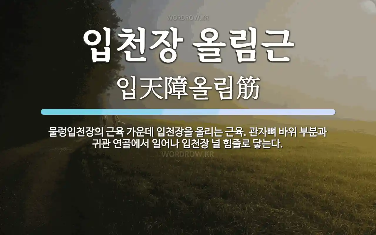 입천장 올림근 뜻 물렁입천장의 근육 가운데 입천장을 올리는 근육 관자뼈 바위 부분과 귀관 연골에서 일어나
