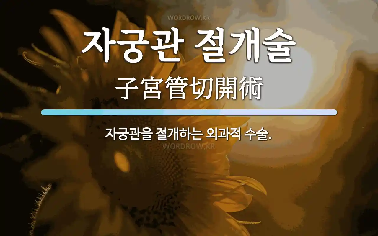 자궁관 절개술 뜻 자궁관을 절개하는 외과적 수술