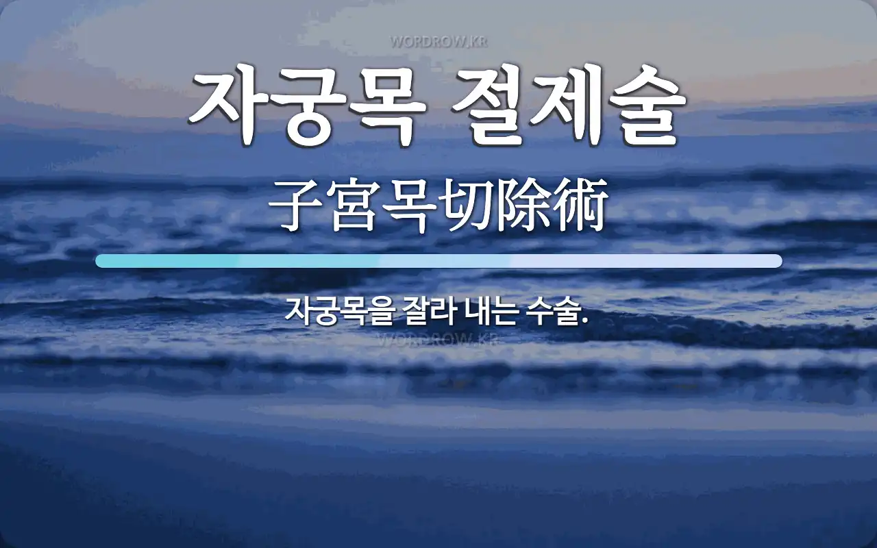 자궁목 절제술 뜻 자궁목을 잘라 내는 수술