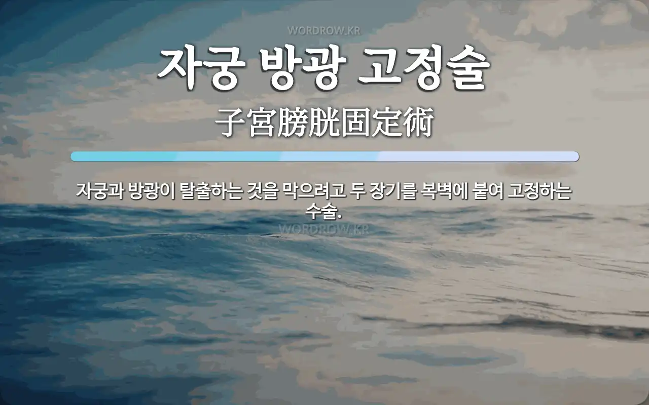 자궁 방광 고정술 뜻 자궁과 방광이 탈출하는 것을 막으려고 두 장기를 복벽에 붙여 고정하는 수술