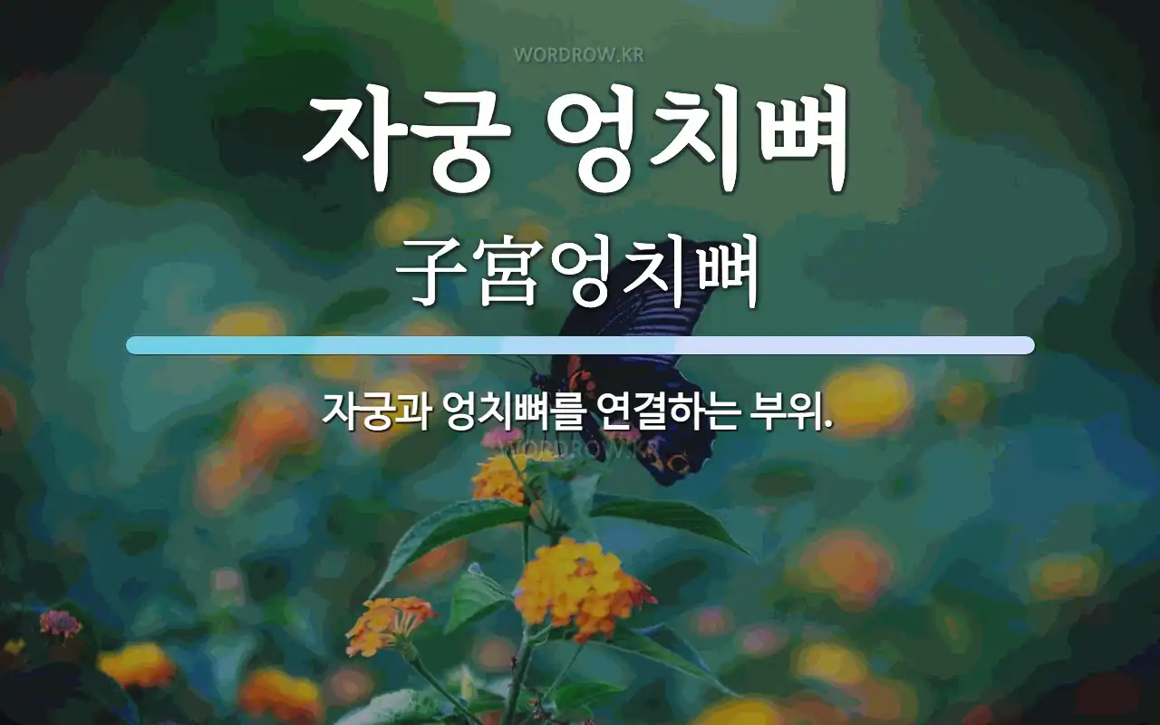 자궁 엉치뼈 뜻 자궁과 엉치뼈를 연결하는 부위