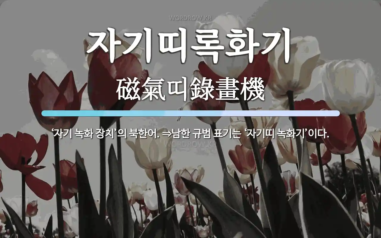 자기띠록화기 뜻 ‘자기 녹화 장치의 북한어 ⇒남한 규범 표기는 ‘자기띠 녹화기이다