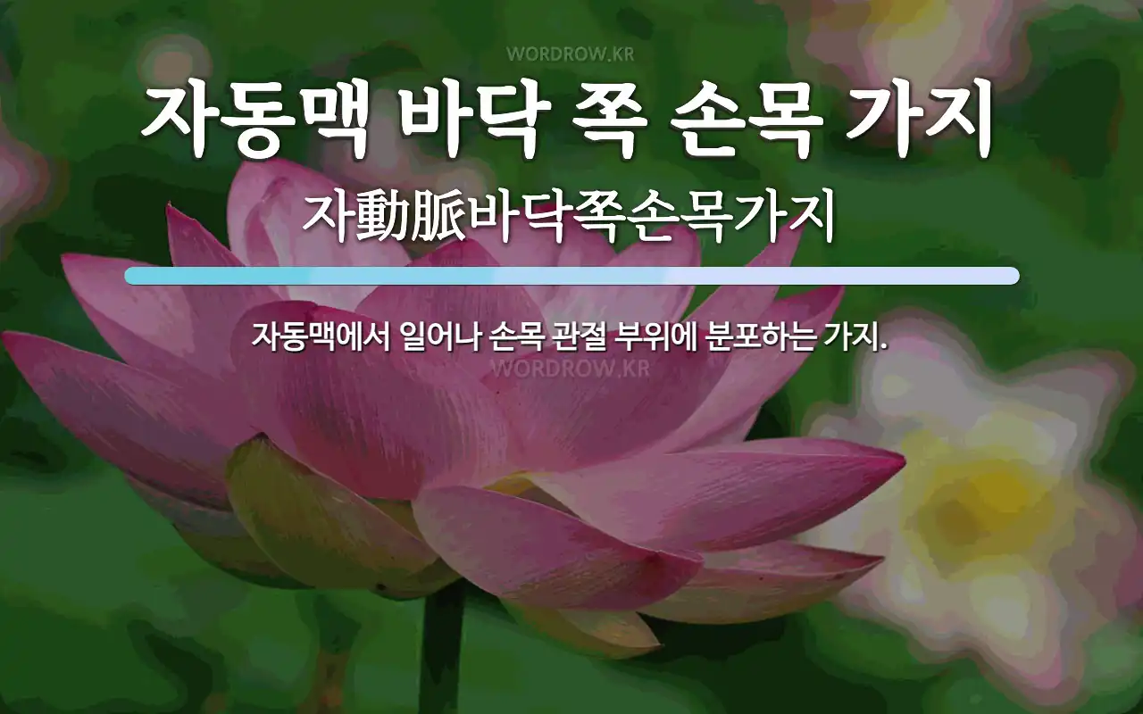 자동맥 바닥 쪽 손목 가지 뜻 자동맥에서 일어나 손목 관절 부위에 분포하는 가지