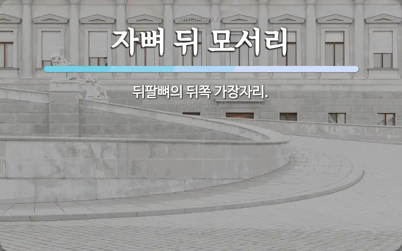 자뼈 뒤 모서리 뜻 뒤팔뼈의 뒤쪽 가장자리