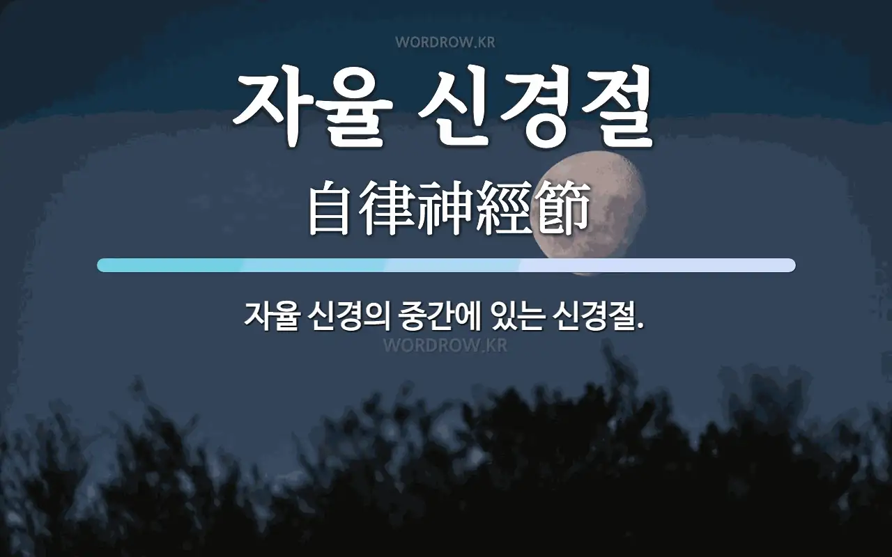 자율 신경절 뜻 자율 신경의 중간에 있는 신경절