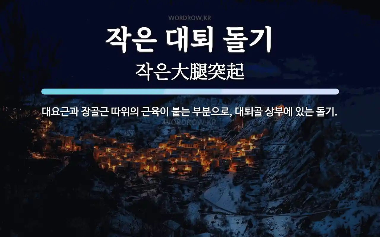 작은 대퇴 돌기 뜻 대요근과 장골근 따위의 근육이 붙는 부분으로 대퇴골 상부에 있는 돌기