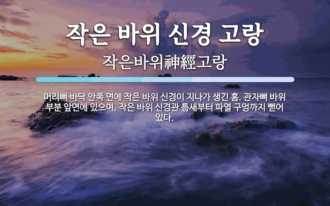 작은 바위 신경 고랑 뜻 머리뼈 바닥 안쪽 면에 작은 바위 신경이 지나가 생긴 홈 관자뼈 바위 부분 앞면에 있으며