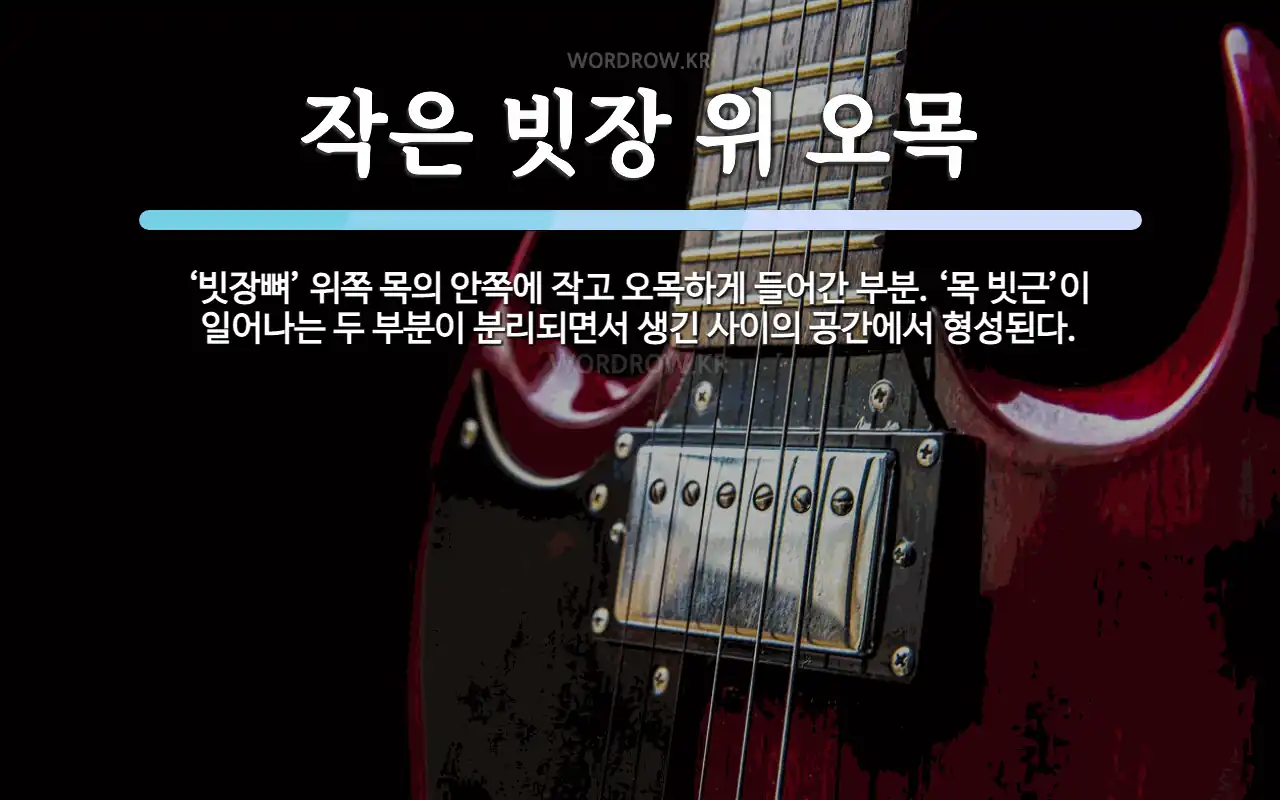 작은 빗장 위 오목 뜻 ‘빗장뼈 위쪽 목의 안쪽에 작고 오목하게 들어간 부분 ‘목 빗근이 일어나는 두 부분이
