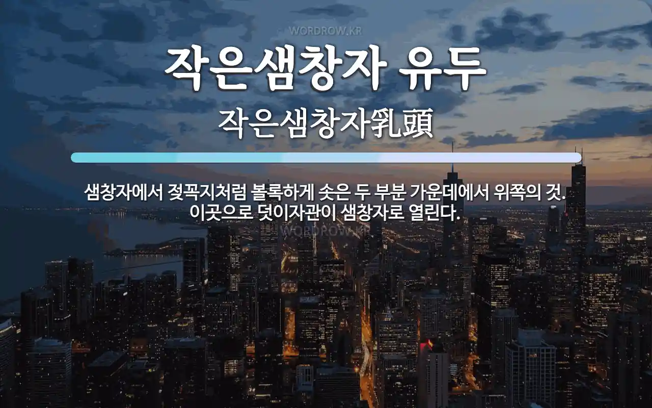 작은샘창자 유두 뜻 샘창자에서 젖꼭지처럼 볼록하게 솟은 두 부분 가운데에서 위쪽의 것 이곳으로 덧이자관이 샘