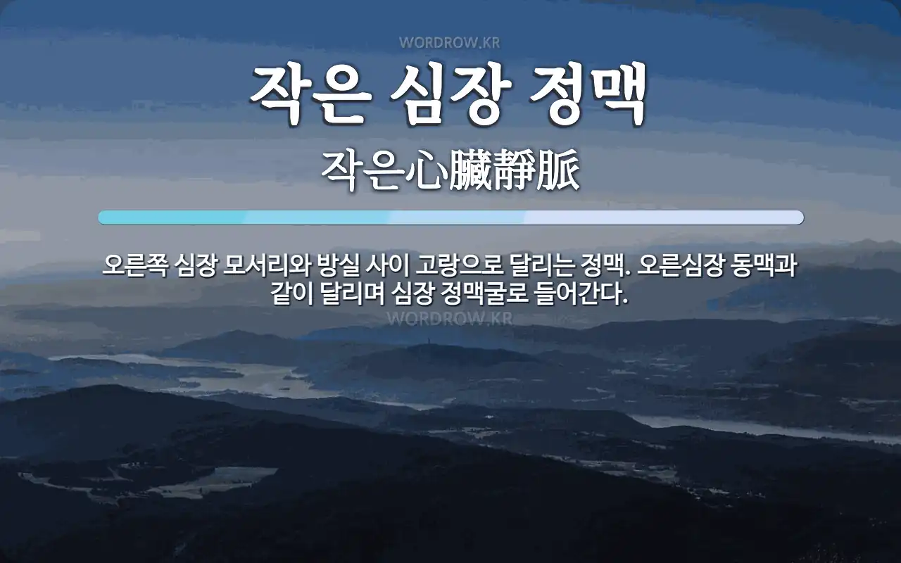 작은 심장 정맥 뜻 오른쪽 심장 모서리와 방실 사이 고랑으로 달리는 정맥 오른심장 동맥과 같이 달리며 심장