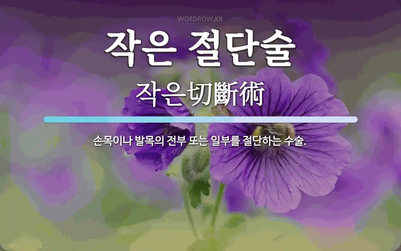 작은 절단술 뜻 손목이나 발목의 전부 또는 일부를 절단하는 수술