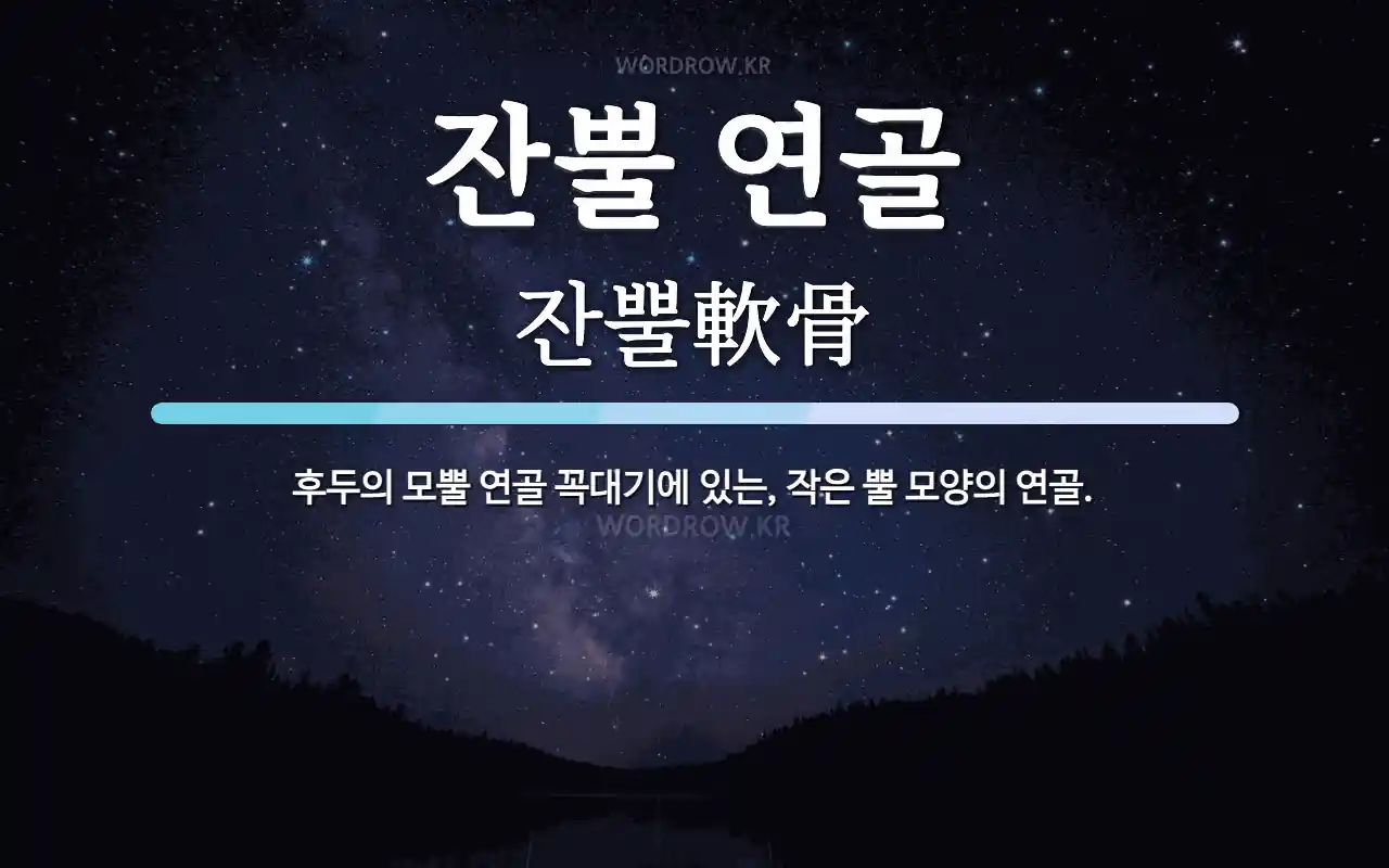 잔뿔 연골 뜻 후두의 모뿔 연골 꼭대기에 있는 작은 뿔 모양의 연골