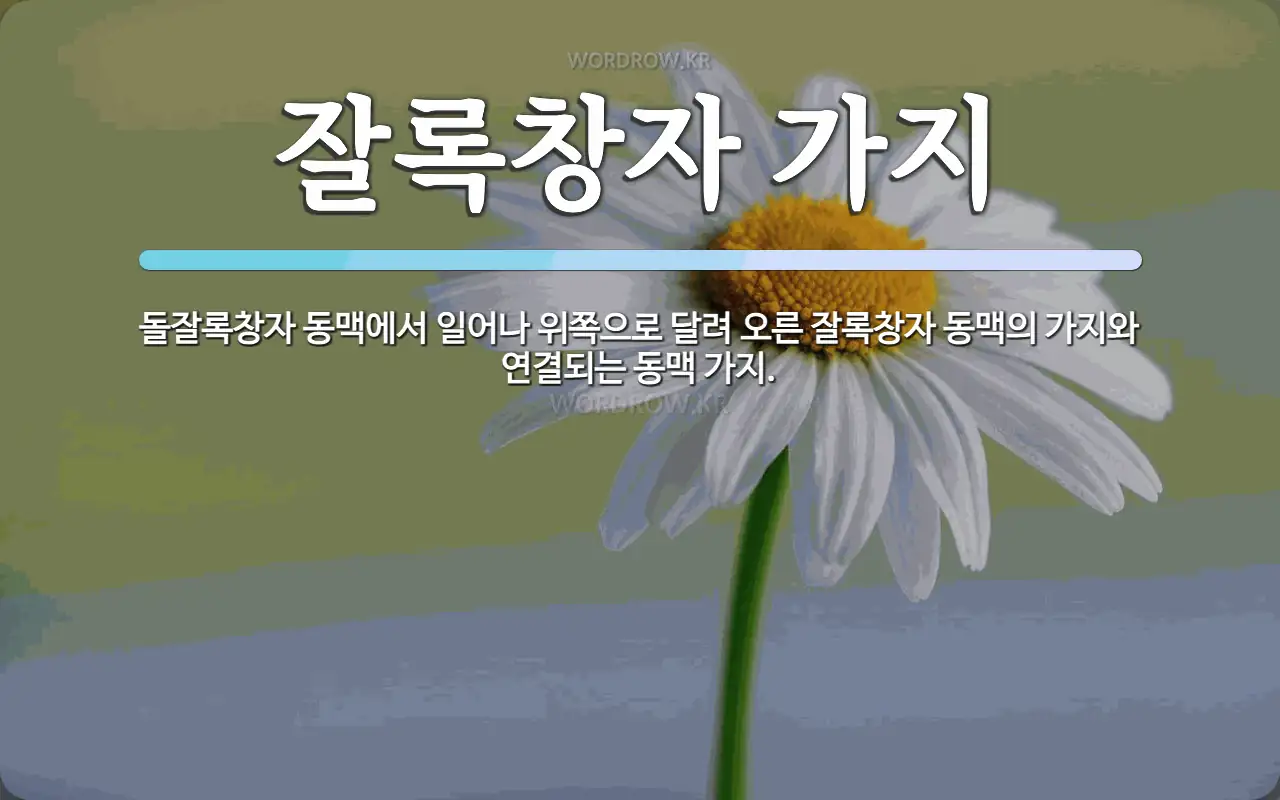 잘록창자 가지 뜻 돌잘록창자 동맥에서 일어나 위쪽으로 달려 오른 잘록창자 동맥의 가지와 연결되는 동맥 가지