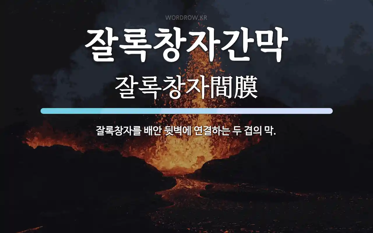 잘록창자간막 뜻 잘록창자를 배안 뒷벽에 연결하는 두 겹의 막