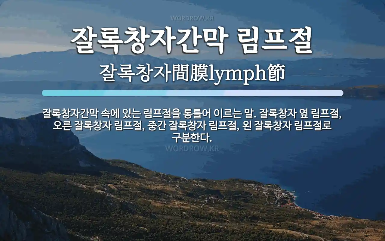 잘록창자간막 림프절 뜻 잘록창자간막 속에 있는 림프절을 통틀어 이르는 말 잘록창자 옆 림프절 오른 잘록창자 림