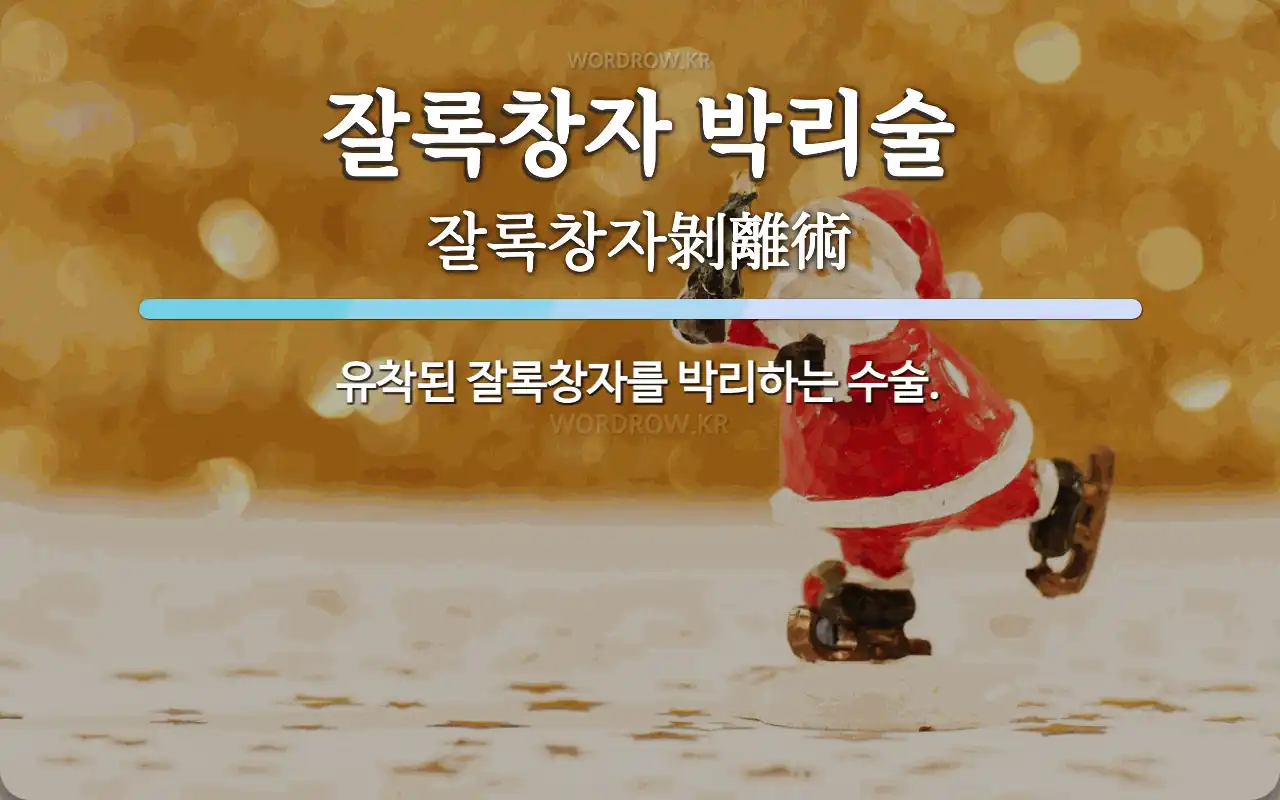잘록창자 박리술 뜻 유착된 잘록창자를 박리하는 수술