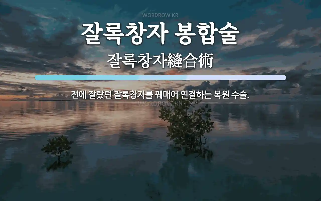 잘록창자 봉합술 뜻 전에 잘랐던 잘록창자를 꿰매어 연결하는 복원 수술
