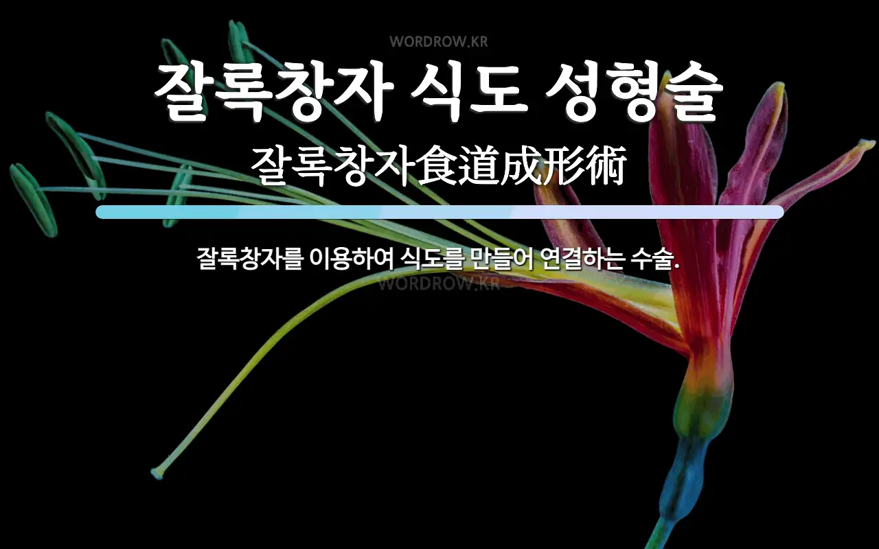잘록창자 식도 성형술 뜻 잘록창자를 이용하여 식도를 만들어 연결하는 수술