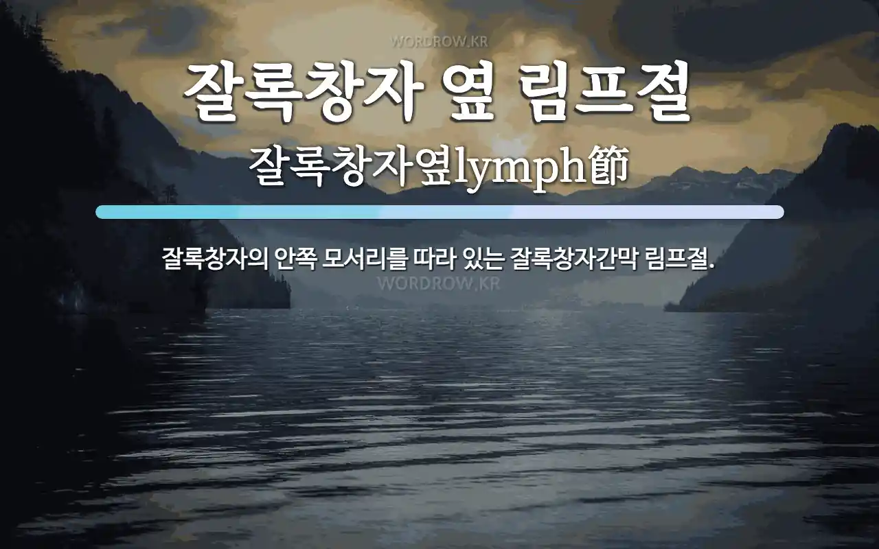 잘록창자 옆 림프절 뜻 잘록창자의 안쪽 모서리를 따라 있는 잘록창자간막 림프절