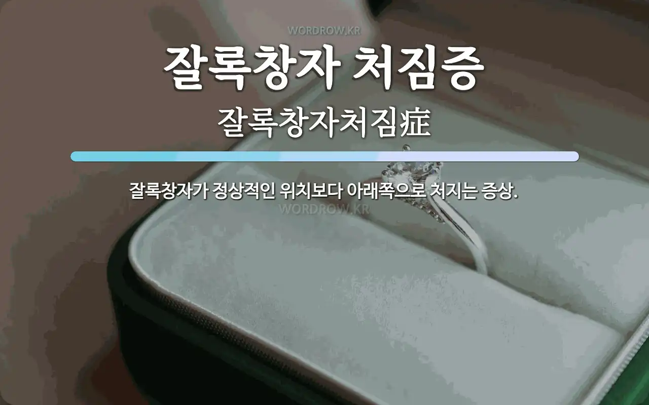 잘록창자 처짐증 뜻 잘록창자가 정상적인 위치보다 아래쪽으로 처지는 증상