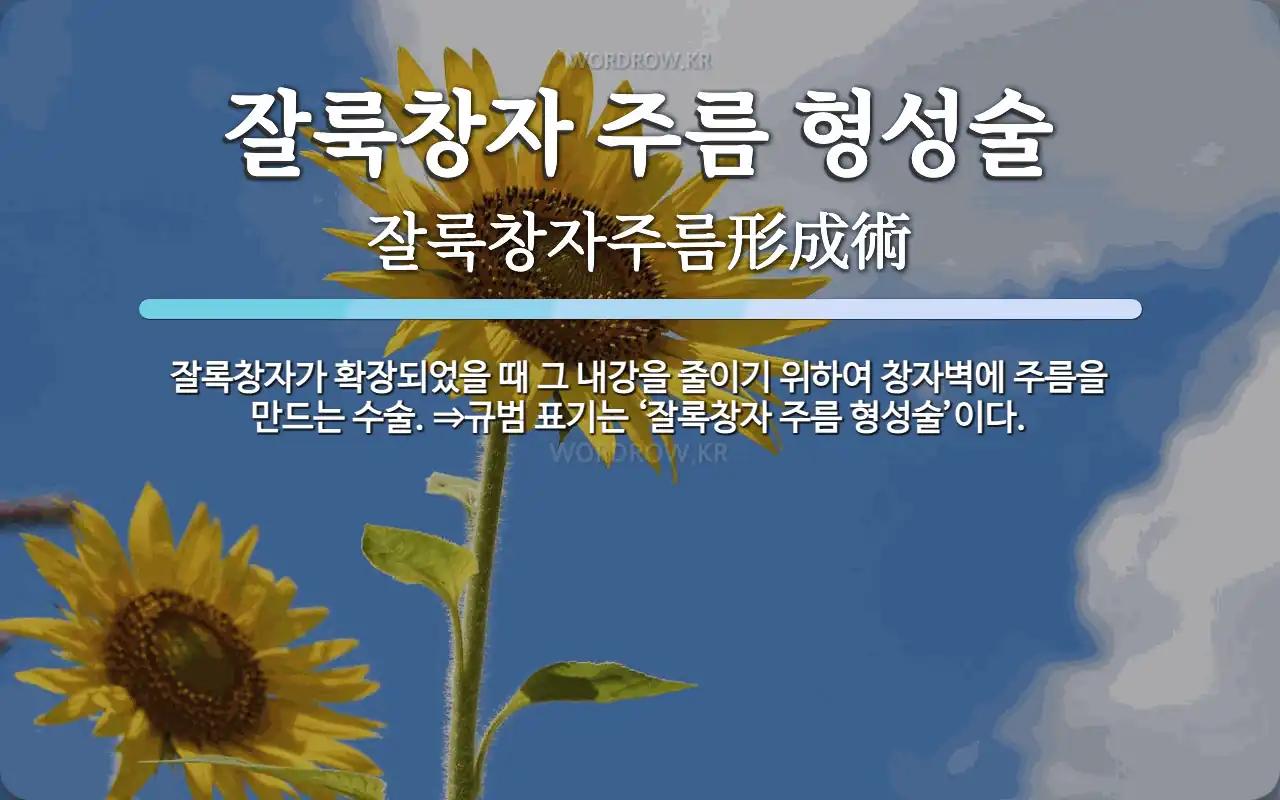 잘룩창자 주름 형성술 뜻 잘록창자가 확장되었을 때 그 내강을 줄이기 위하여 창자벽에 주름을 만드는 수술 ⇒규범 표
