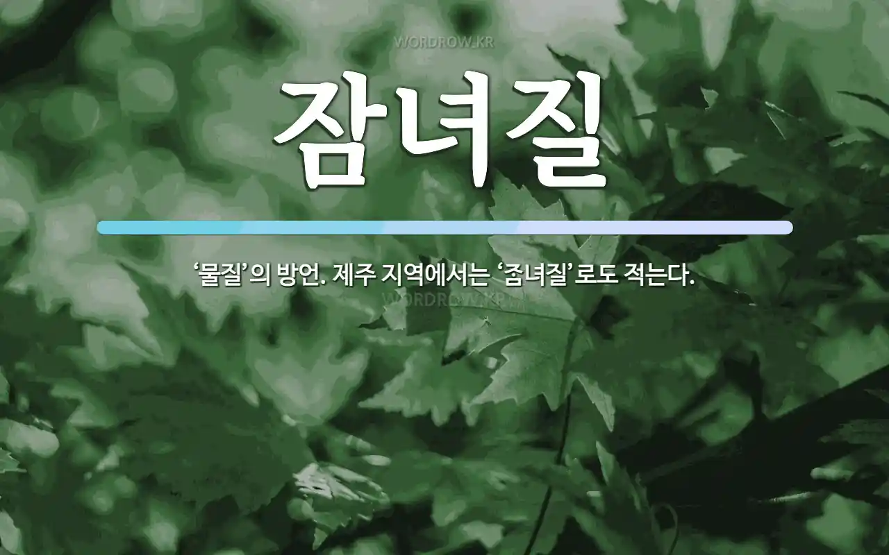 잠녀질 뜻 ‘물질의 방언 제주 지역에서는 ‘uf204녀질로도 적는다