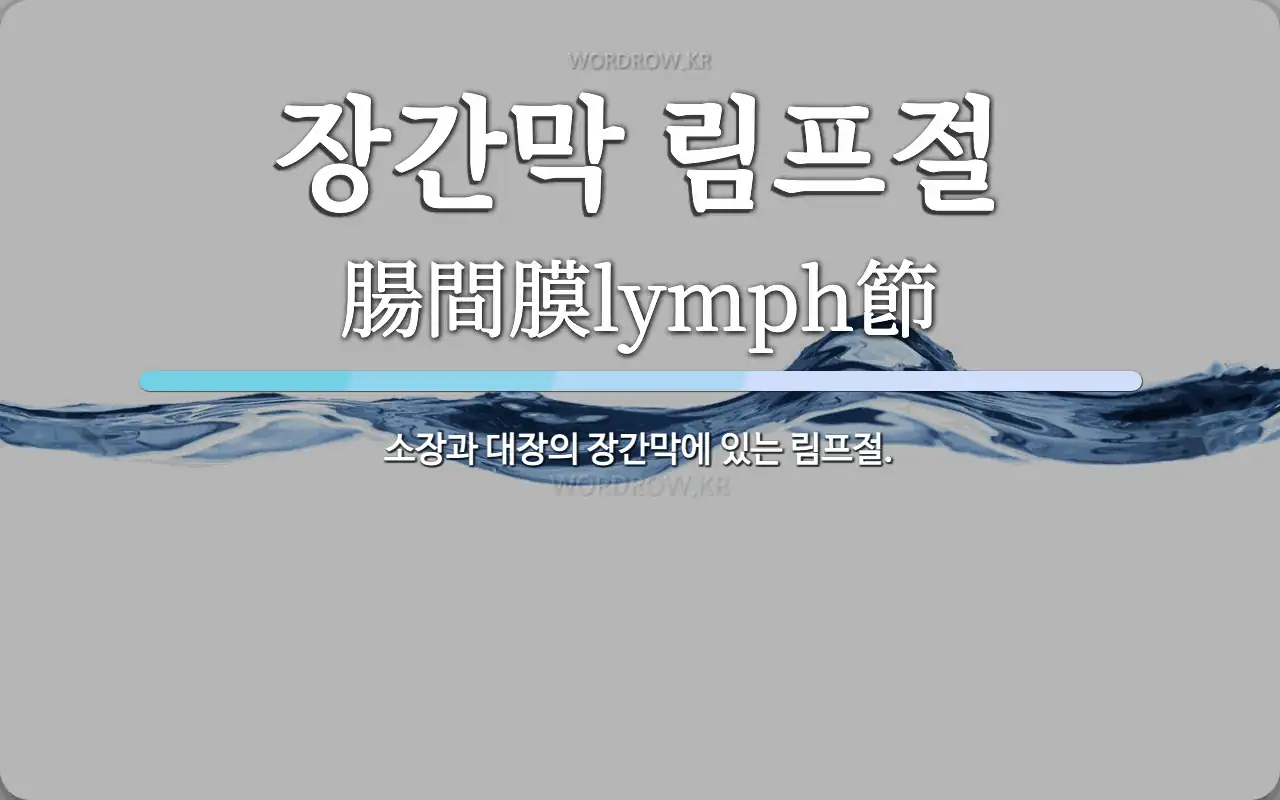 장간막 림프절 뜻 소장과 대장의 장간막에 있는 림프절