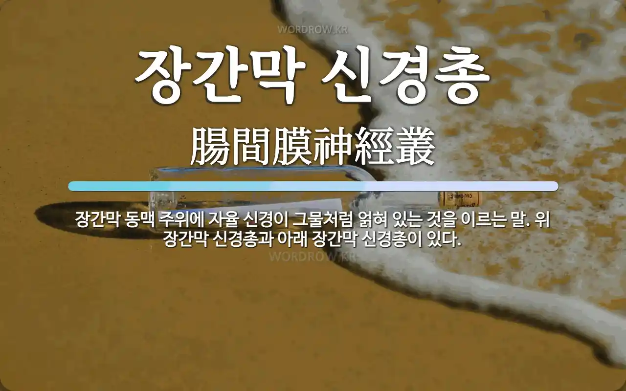 장간막 신경총 뜻 장간막 동맥 주위에 자율 신경이 그물처럼 얽혀 있는 것을 이르는 말 위 장간막 신경총과
